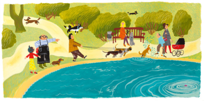 Hol den Ball, Tom! - Bohem Verlag