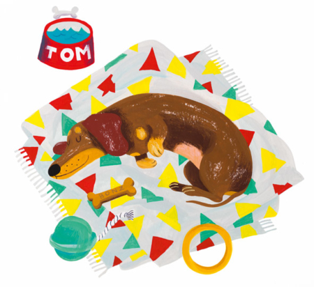 HOL DEN BALL, TOM! - Bohem Verlag